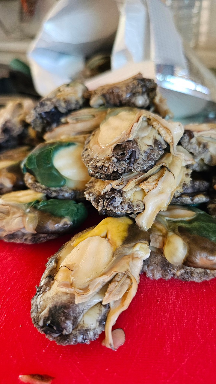 Abalone Seafood Clam - Free photo on Pixabay - Pixabay