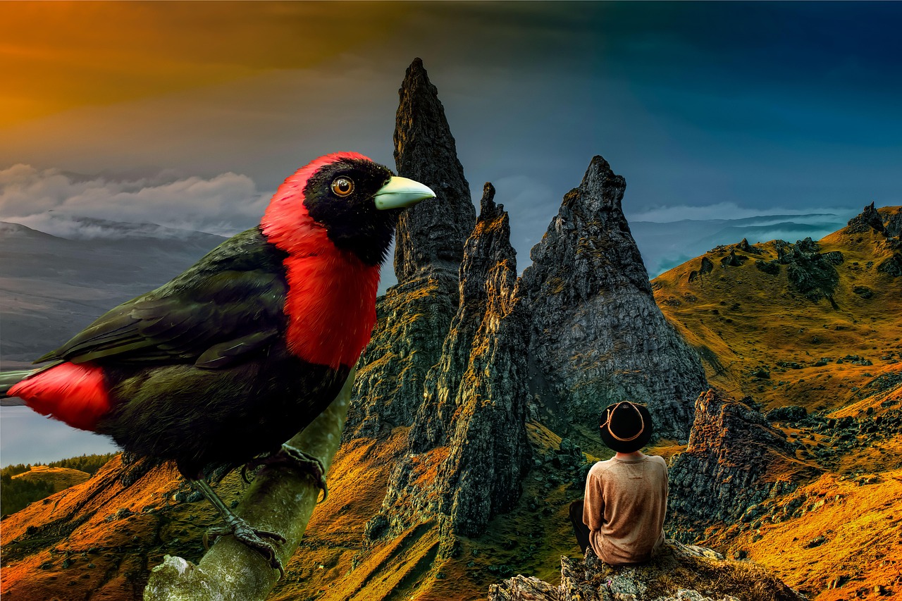 Bird Nature Landscape - Free photo on Pixabay - Pixabay