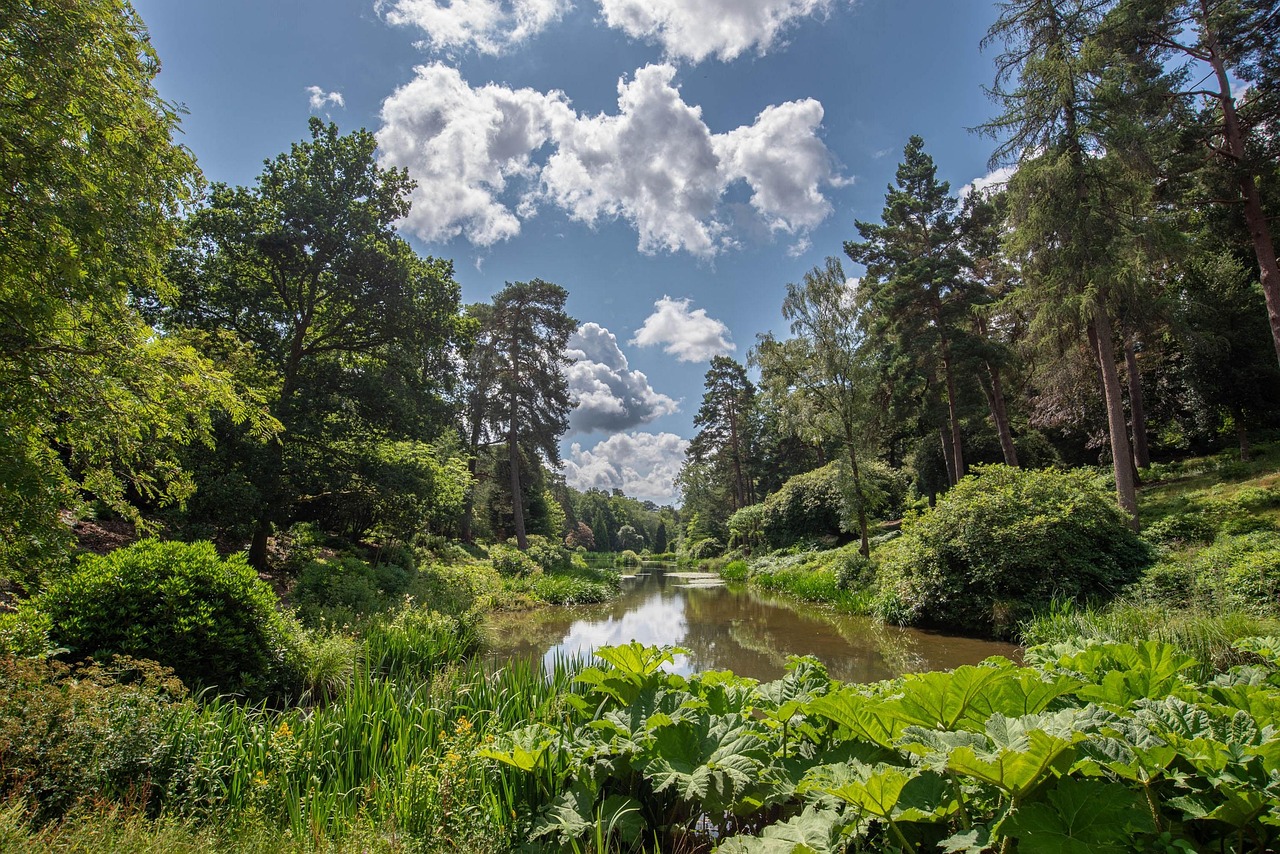 Landscape Nature Trees - Free photo on Pixabay - Pixabay