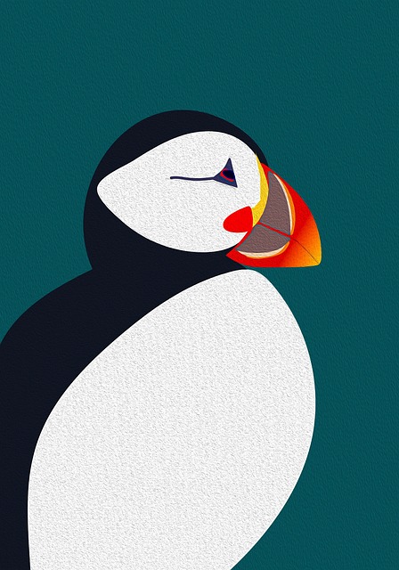 300+ Free Puffin & Nature Images - Pixabay