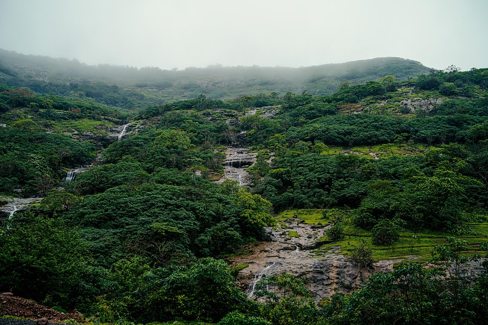 Waterfall Nature Monsoon - Free photo on Pixabay - Pixabay