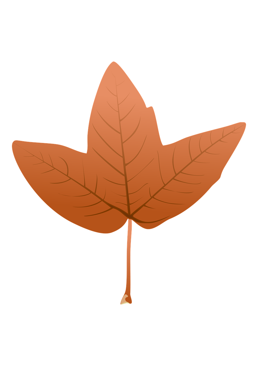 Download Maple, Autumn, Cutout. Royalty-Free Stock Illustration Image ...