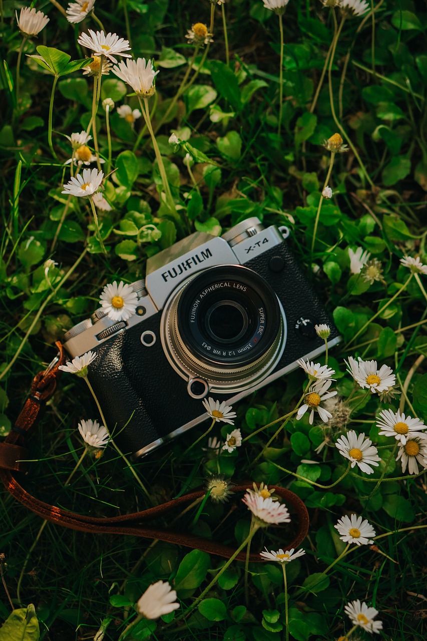 Caméra Photographe Fleurs - Photo gratuite sur Pixabay - Pixabay