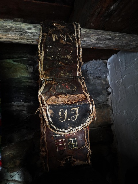 Belt Cowbell Cow - Free photo on Pixabay - Pixabay