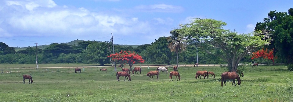 Vieques Port Kaya Padang - Foto gratis di Pixabay - Pixabay