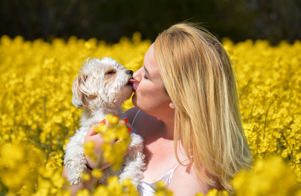 Woman Dog Love - Free photo on Pixabay - Pixabay