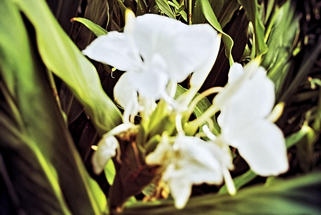Bunga Alam Kecantikan Di Luar - Foto gratis di Pixabay