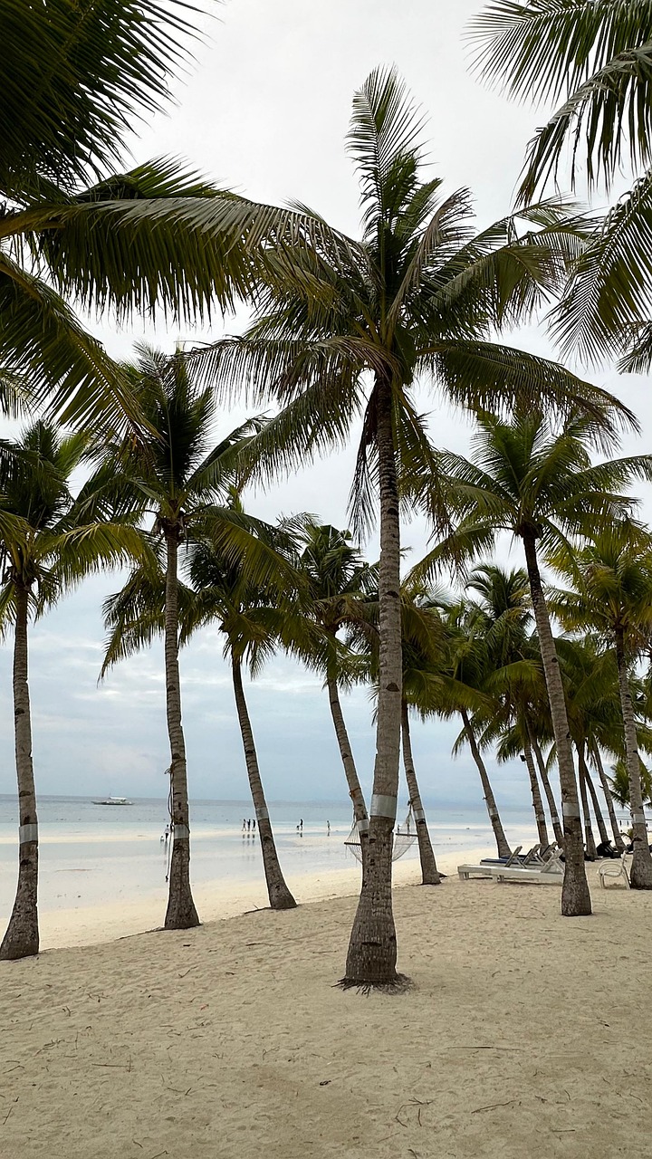 Holiday Beach Nauture - Free photo on Pixabay