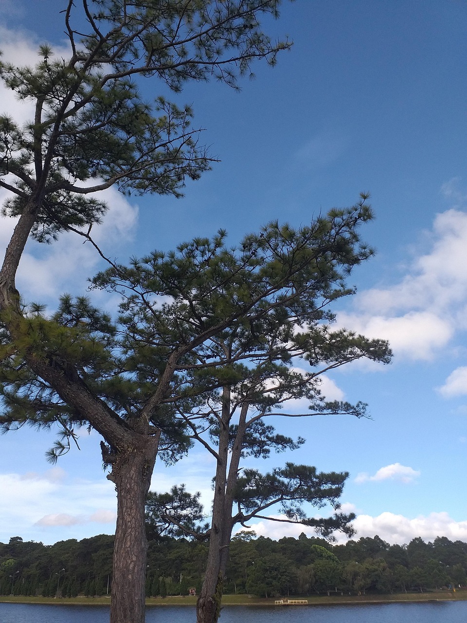 Beautiful Landscape Blue Sky And - Free photo on Pixabay - Pixabay