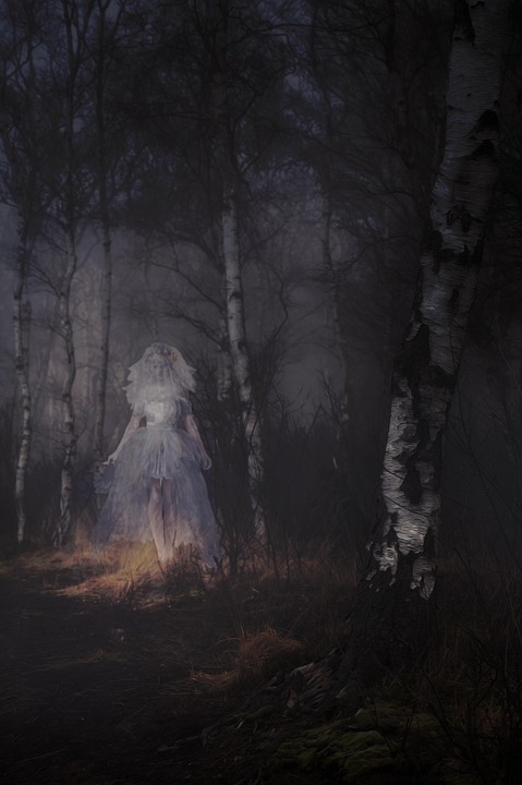 Woman In White Legend - Free photo on Pixabay - Pixabay