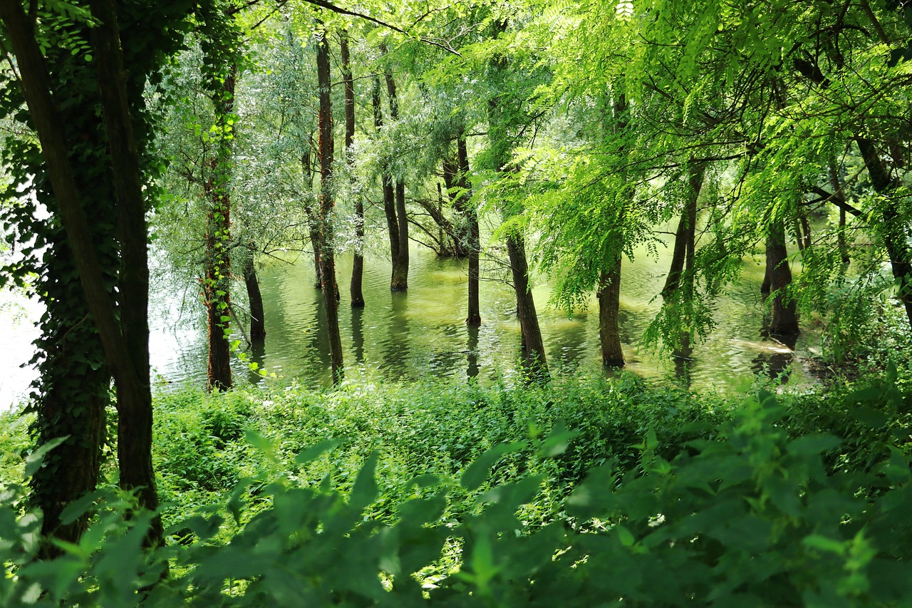 Lake Borovik Croatia Djakovo - Free photo on Pixabay - Pixabay