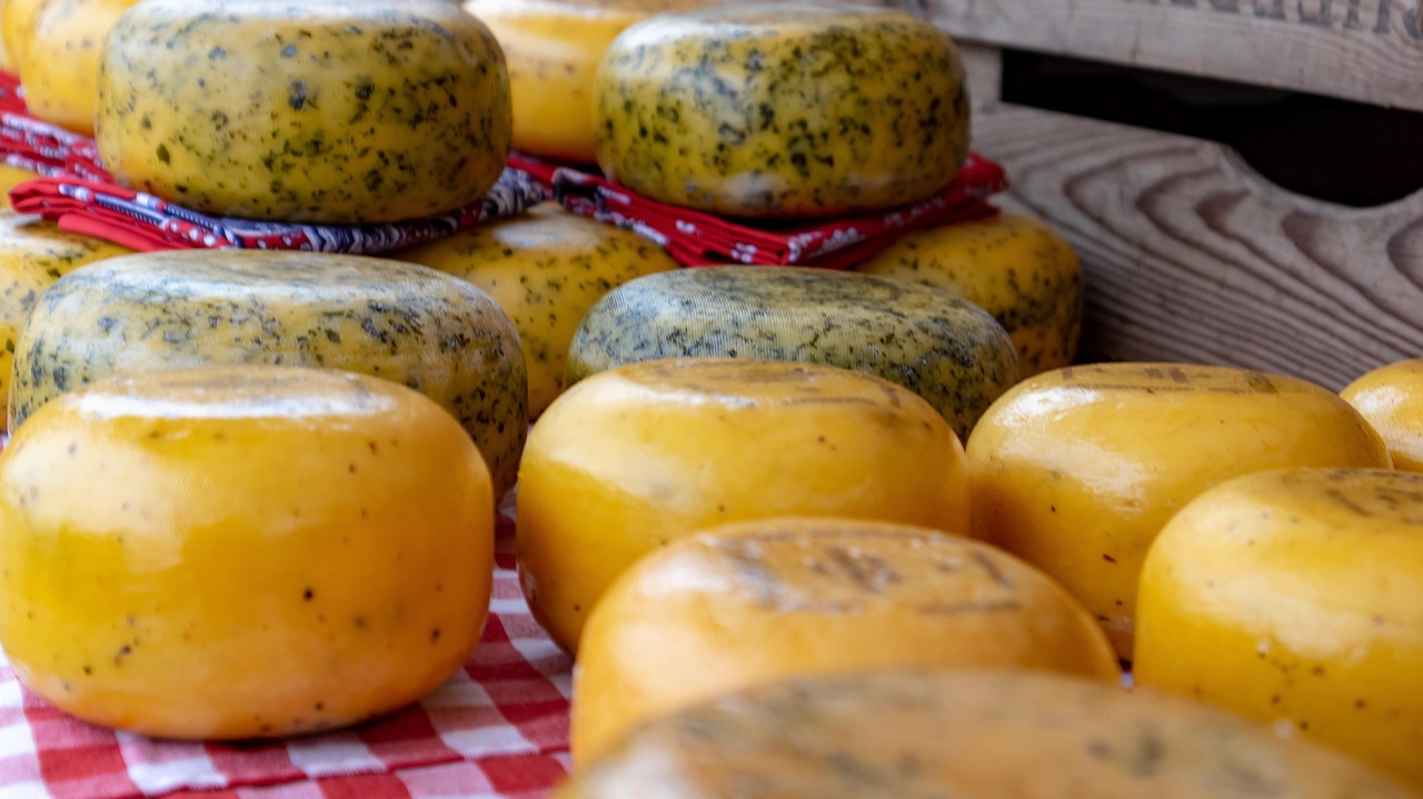 Queijo Laticínio Holanda Países - Foto gratuita no Pixabay - Pixabay