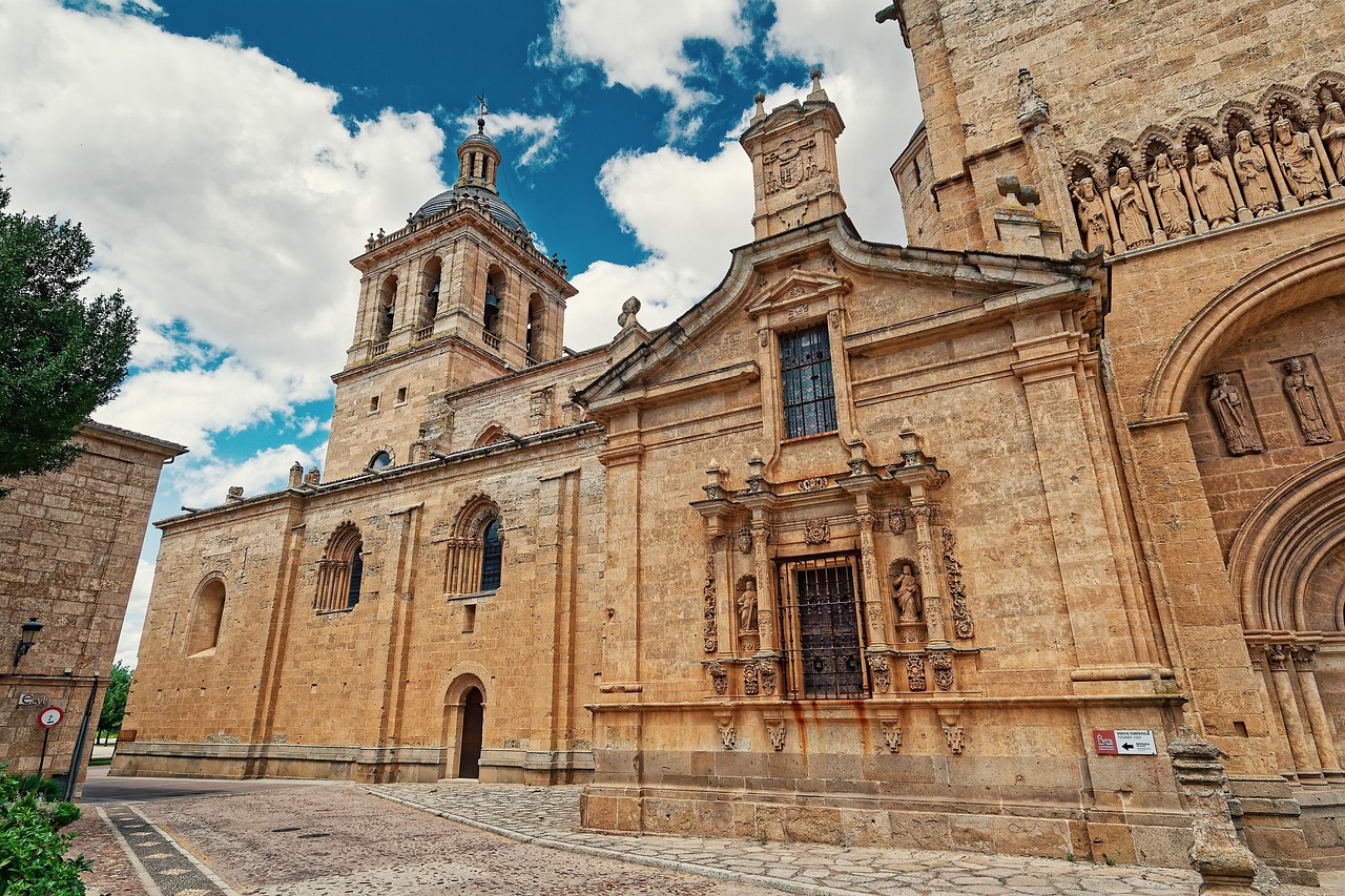 10+ Free Olovia Rodrigo & Ciudad Rodrigo Images - Pixabay