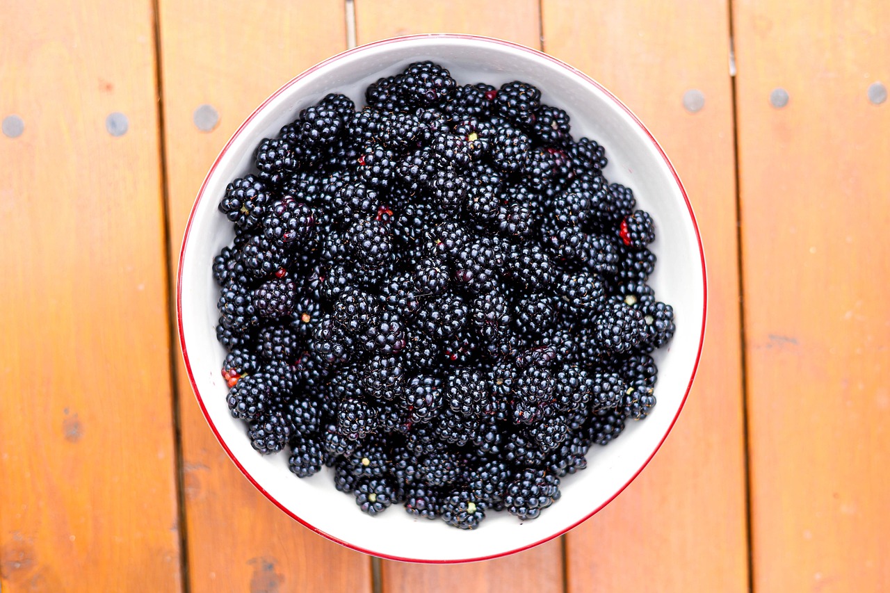 Blackberries Berries Fruits - Free photo on Pixabay - Pixabay