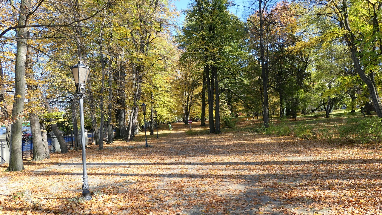 Park Podzim Stromy - Fotografie zdarma na Pixabay - Pixabay