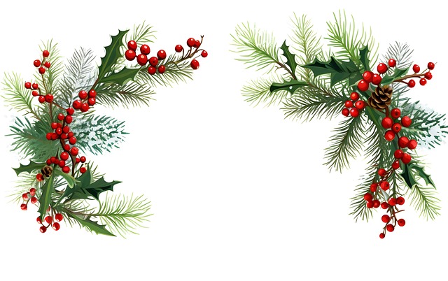 Frohe Weihnachten Kranz Weißer - Kostenloses Bild auf Pixabay - Pixabay