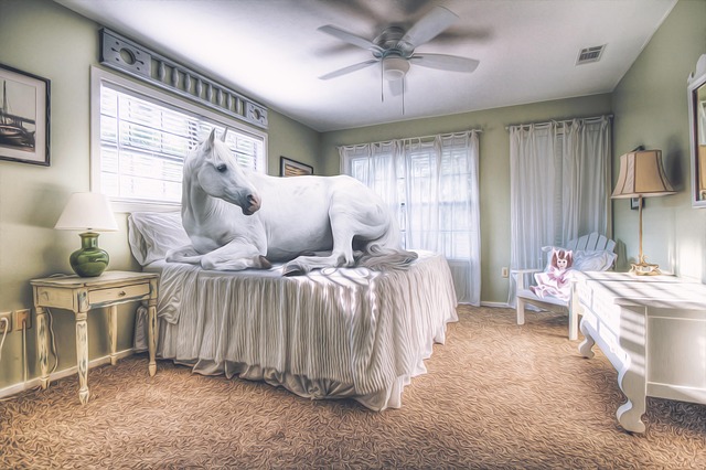 Cheval Lit Chambre À Coucher - Image gratuite sur Pixabay - Pixabay