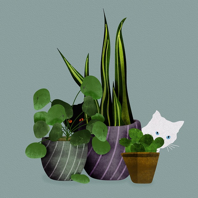Chats Chatons Les Plantes - Image gratuite sur Pixabay - Pixabay