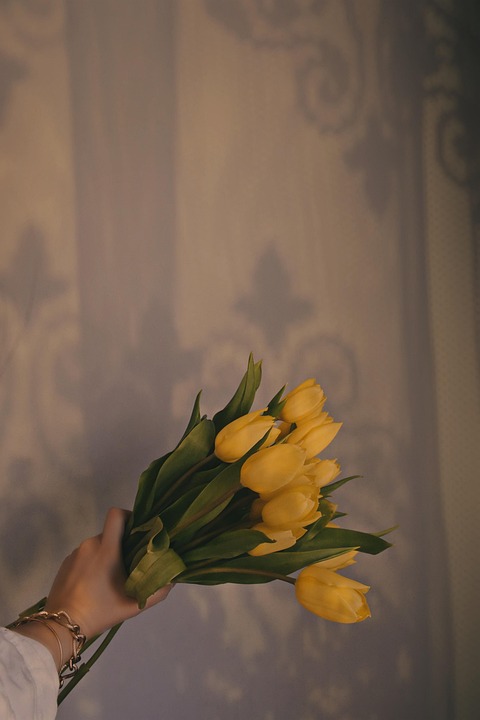 Bunga Tulp Tulip Estetis - Foto gratis di Pixabay - Pixabay