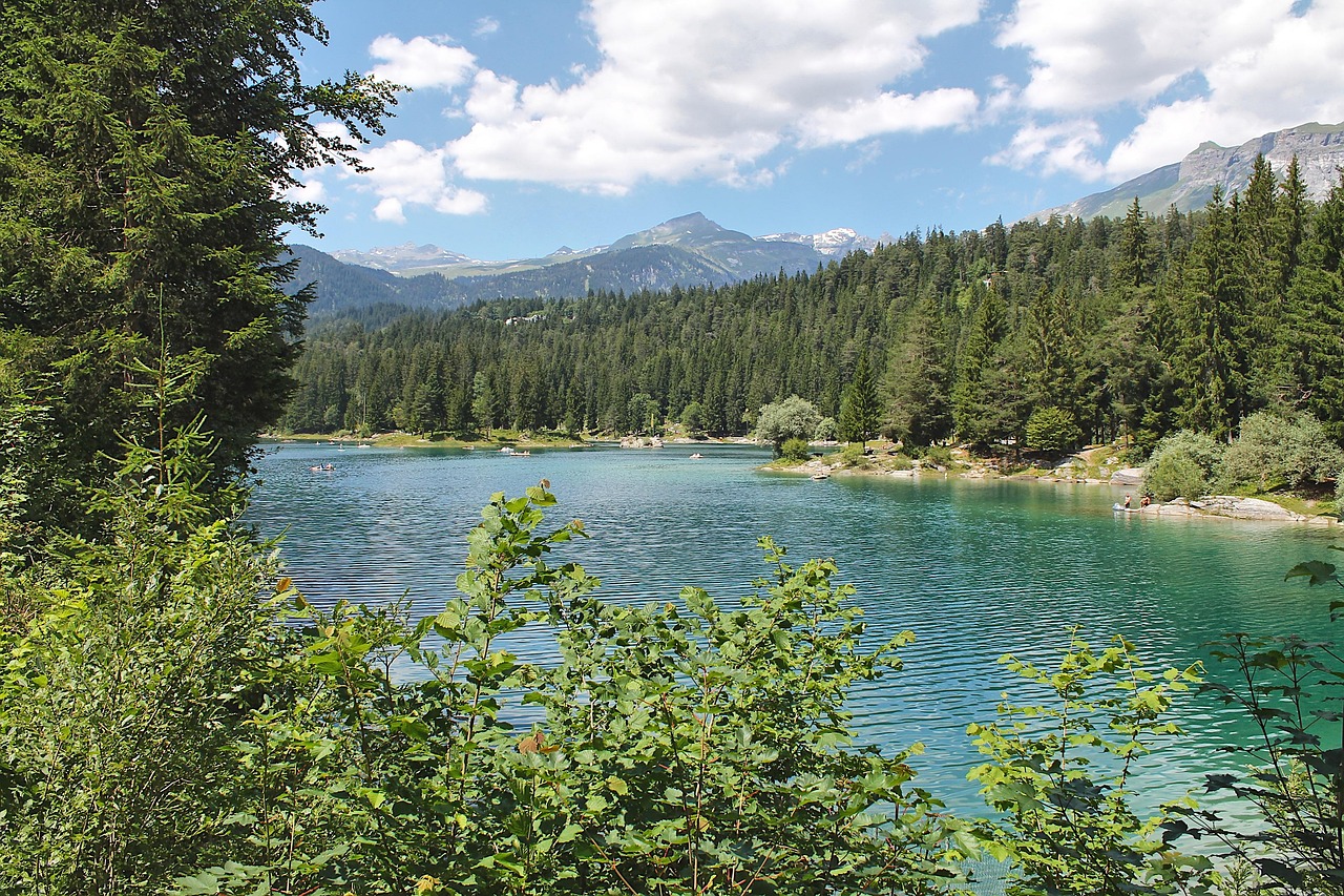 Montagne Lac Forêt - Photo gratuite sur Pixabay - Pixabay