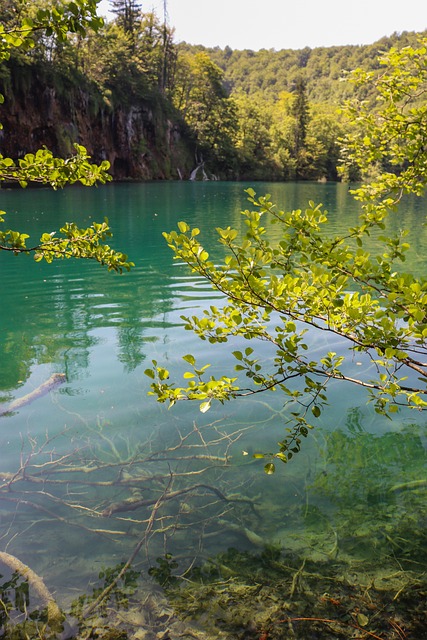 Lac Vue L'Eau - Photo gratuite sur Pixabay - Pixabay
