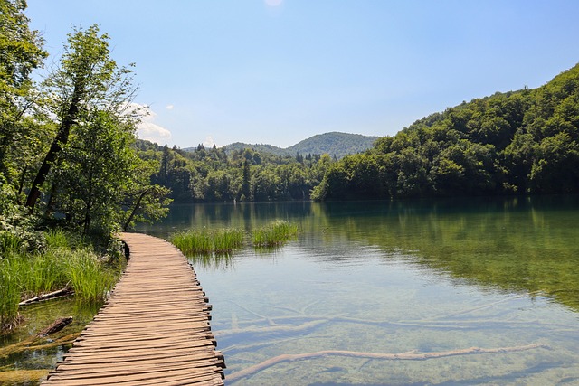 See Wald Bäume - Kostenloses Foto auf Pixabay - Pixabay