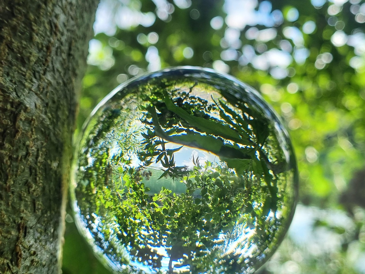 Esfera De Vidro Natureza - Foto gratuita no Pixabay - Pixabay
