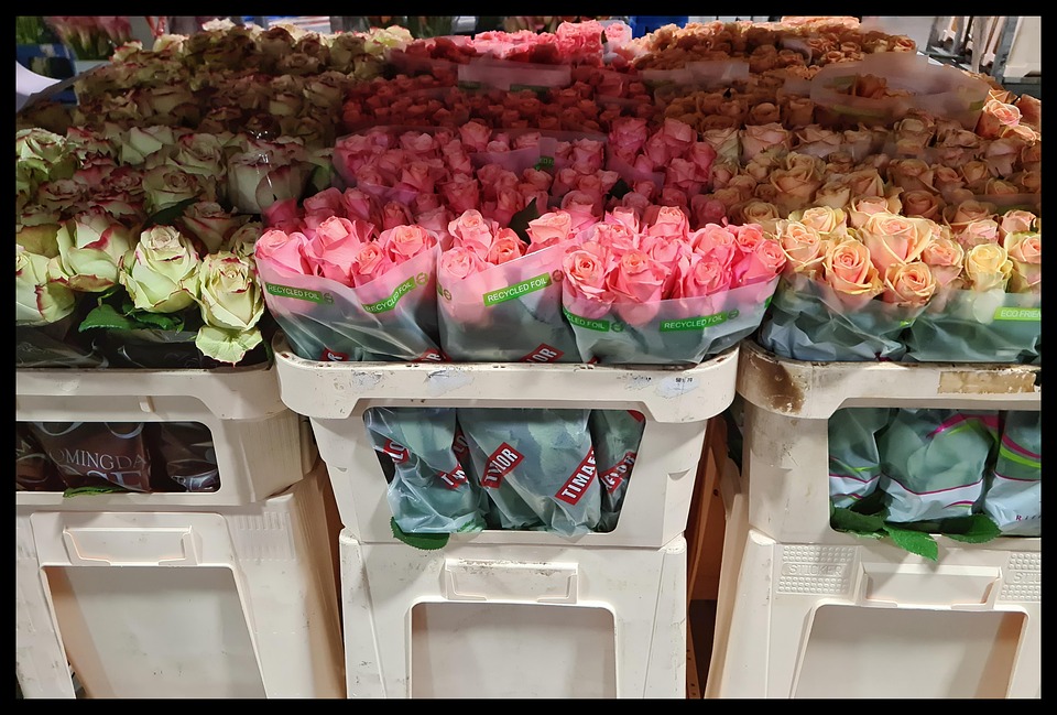 Roses F Lowers Flower Market - Free photo on Pixabay - Pixabay