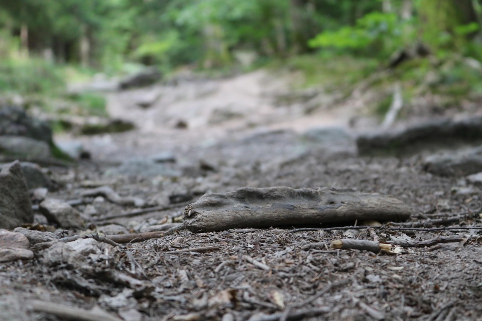 Erde Natur Stock - Kostenloses Foto auf Pixabay - Pixabay