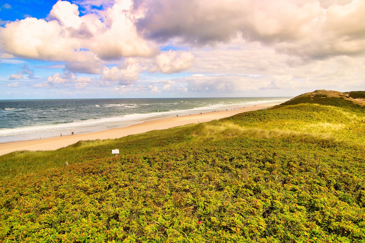 Sylt Insel Natur - Kostenloses Foto auf Pixabay - Pixabay