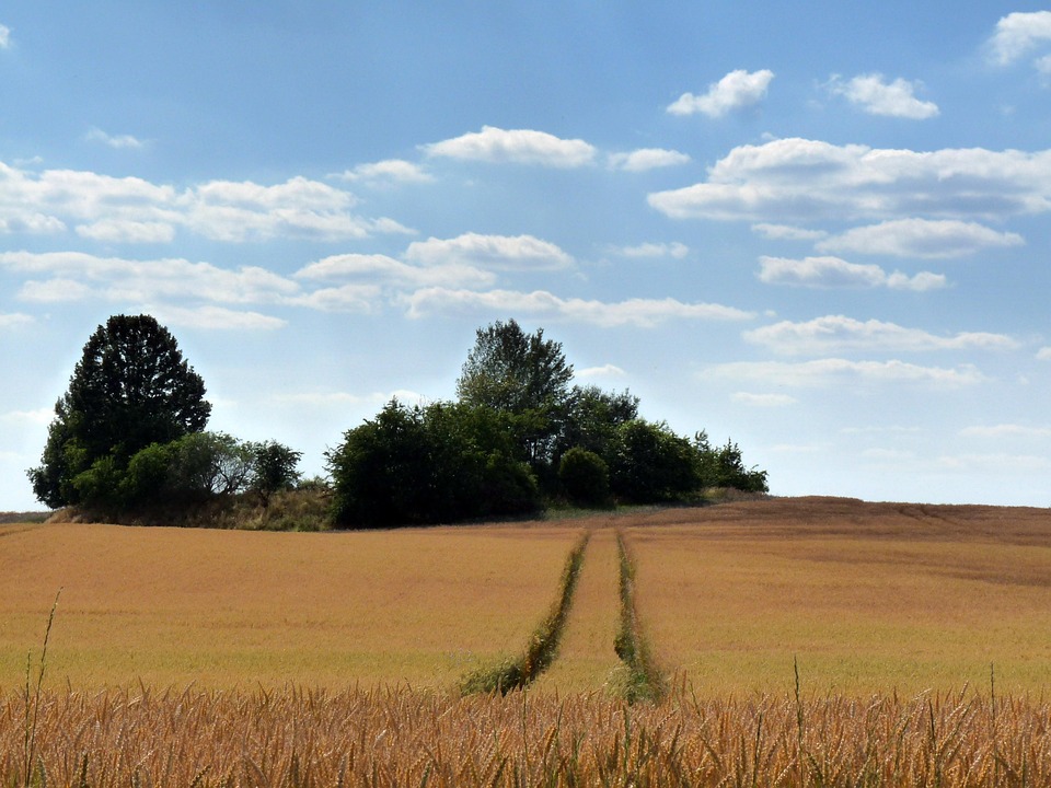 Moraine Terminale Voies Grain - Photo gratuite sur Pixabay - Pixabay