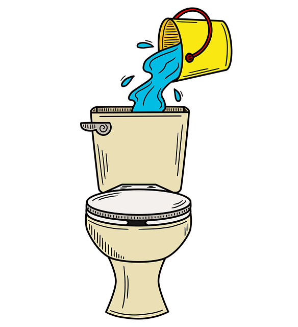 Toilet Illustration