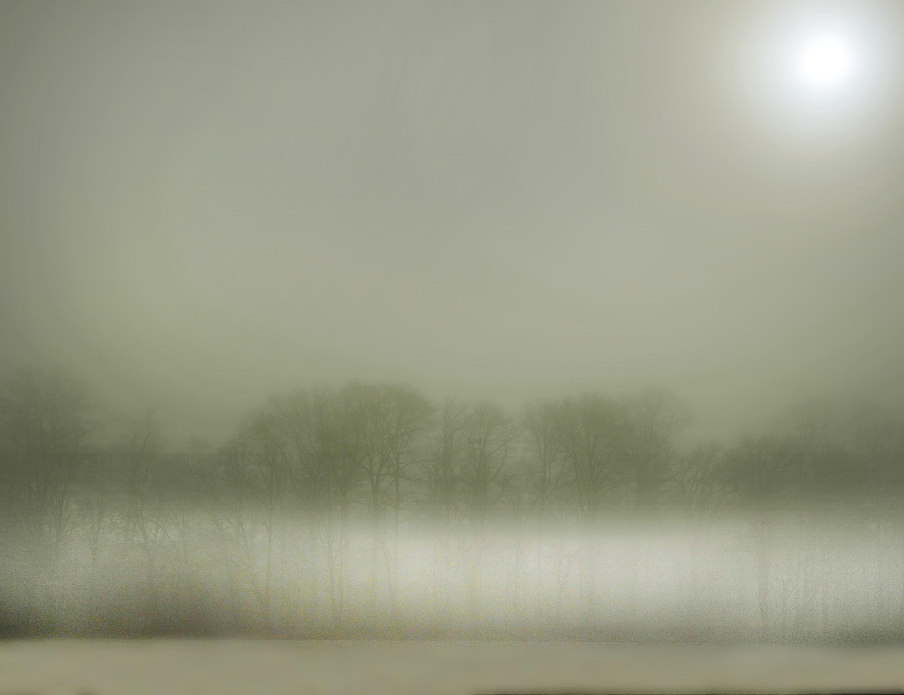 Fog Nature Landscape - Free photo on Pixabay - Pixabay