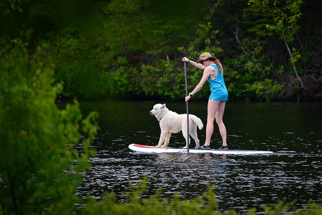Standup Paddleboarding Woman Lake - Free photo on Pixabay - Pixabay