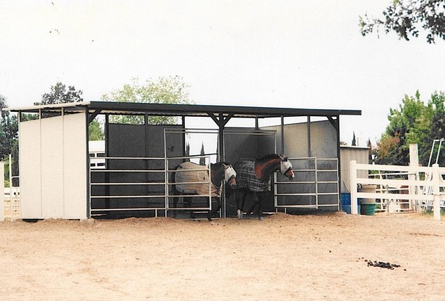 Run In Shed Stalls Horse Stall - Free photo on Pixabay - Pixabay