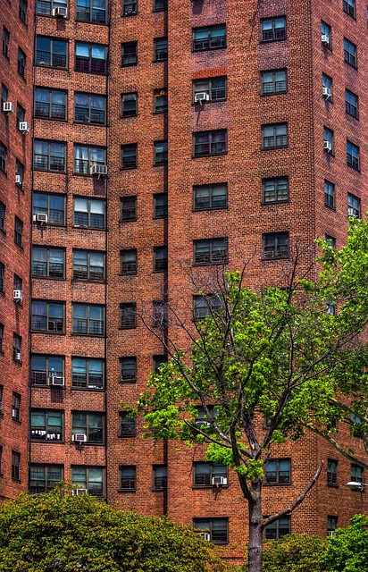 New York Usa Brooklyn - Free photo on Pixabay - Pixabay