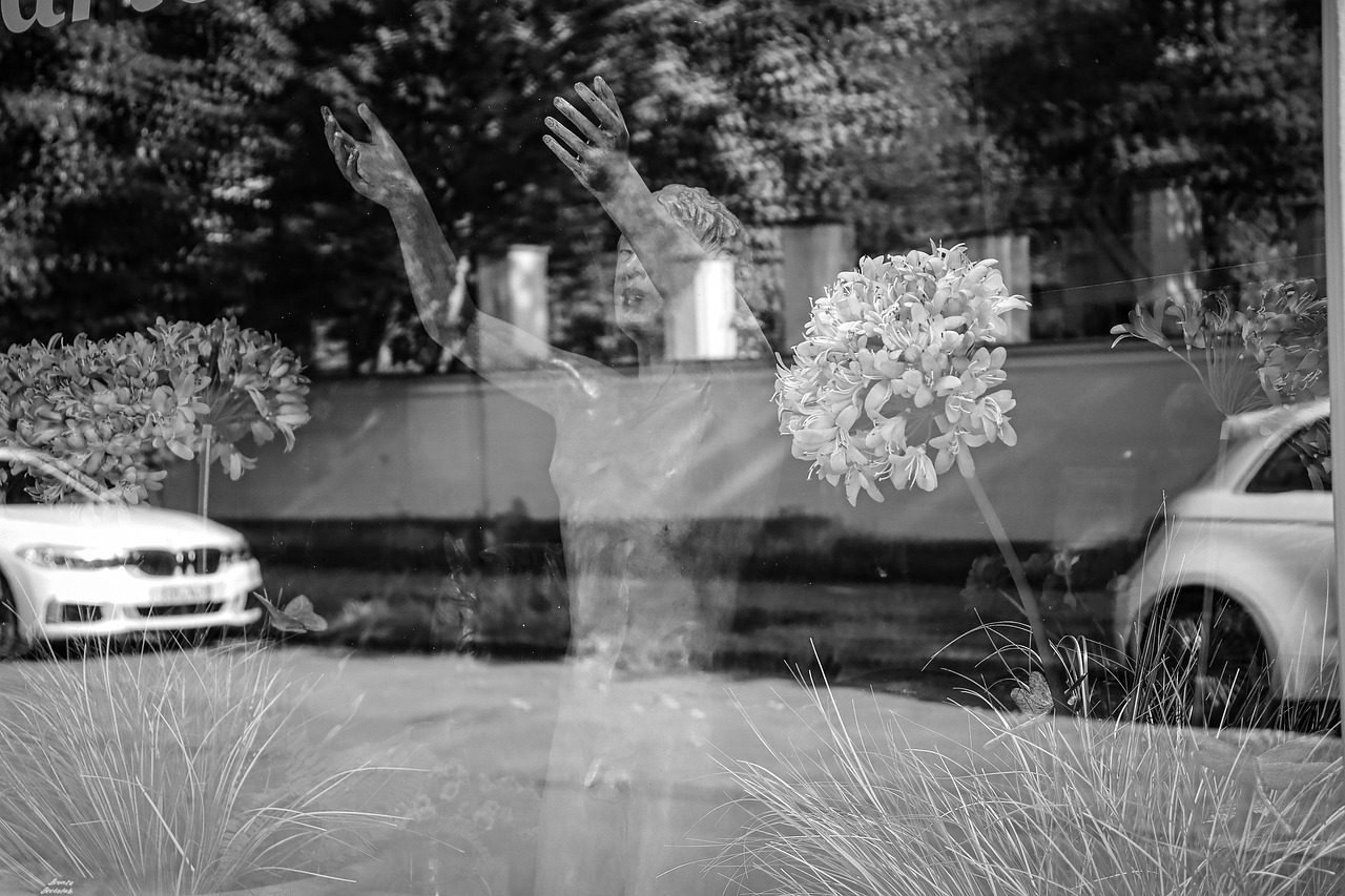 Window Reflection Flower Free Photo On Pixabay Pixabay
