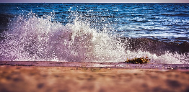 Océan Vague Plage - Photo gratuite sur Pixabay - Pixabay