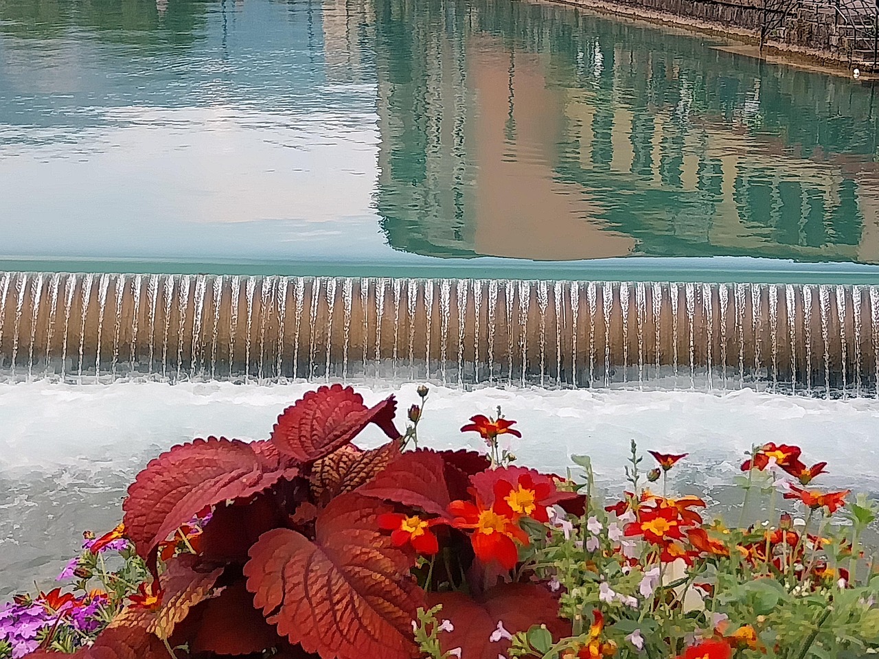 Annecy Bunga Air - Foto gratis di Pixabay - Pixabay