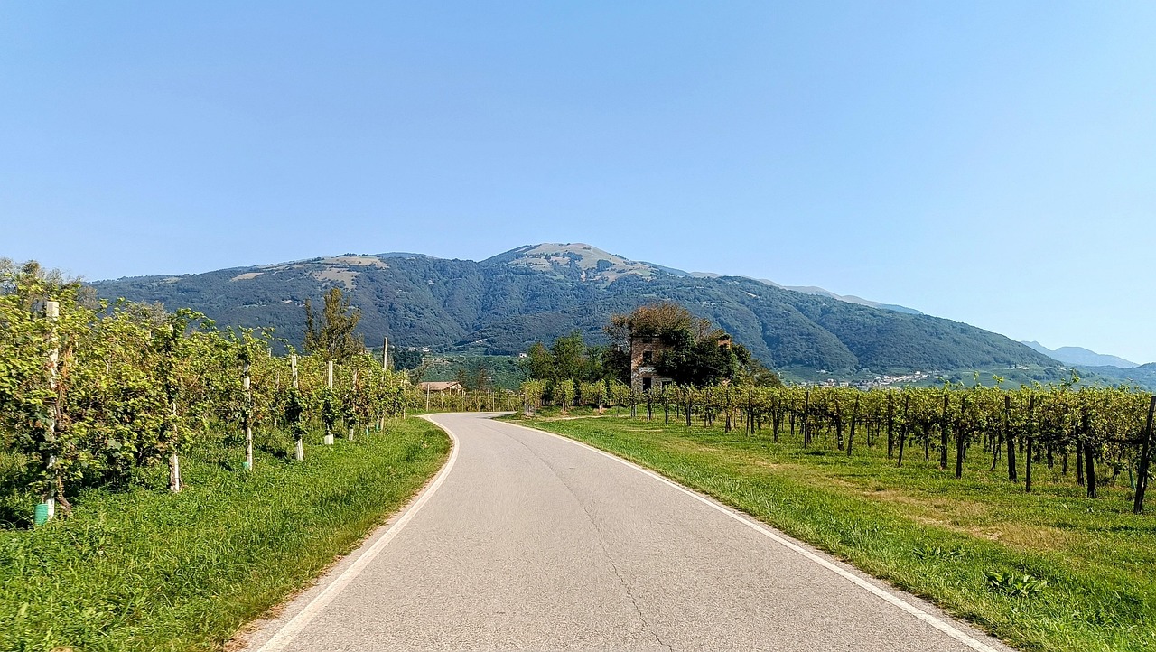 Route Paysage La Nature - Photo gratuite sur Pixabay - Pixabay