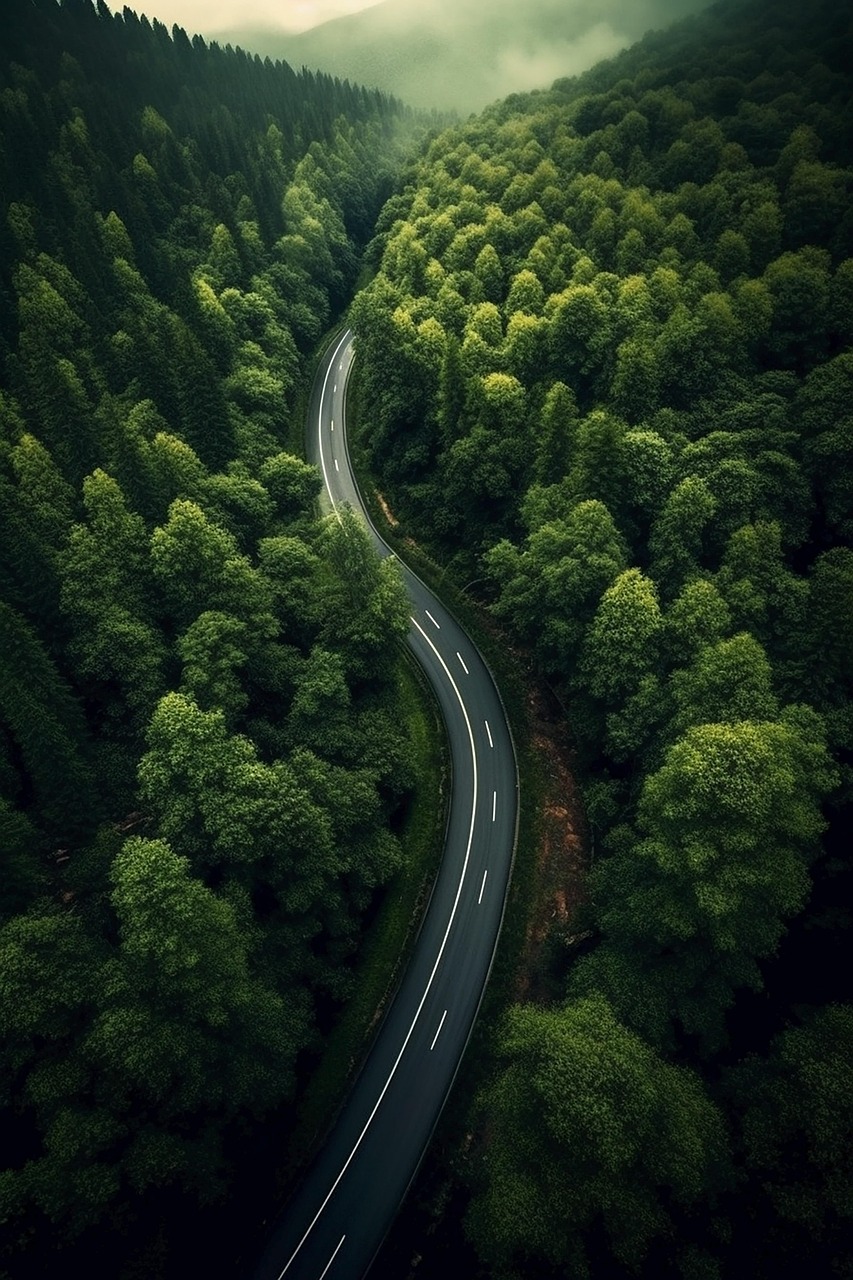 Street Forest View - Free photo on Pixabay - Pixabay