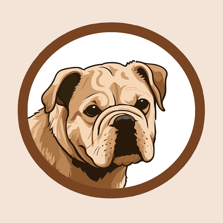 狗 犬类 动物 - 免费矢量图形Pixabay - Pixabay