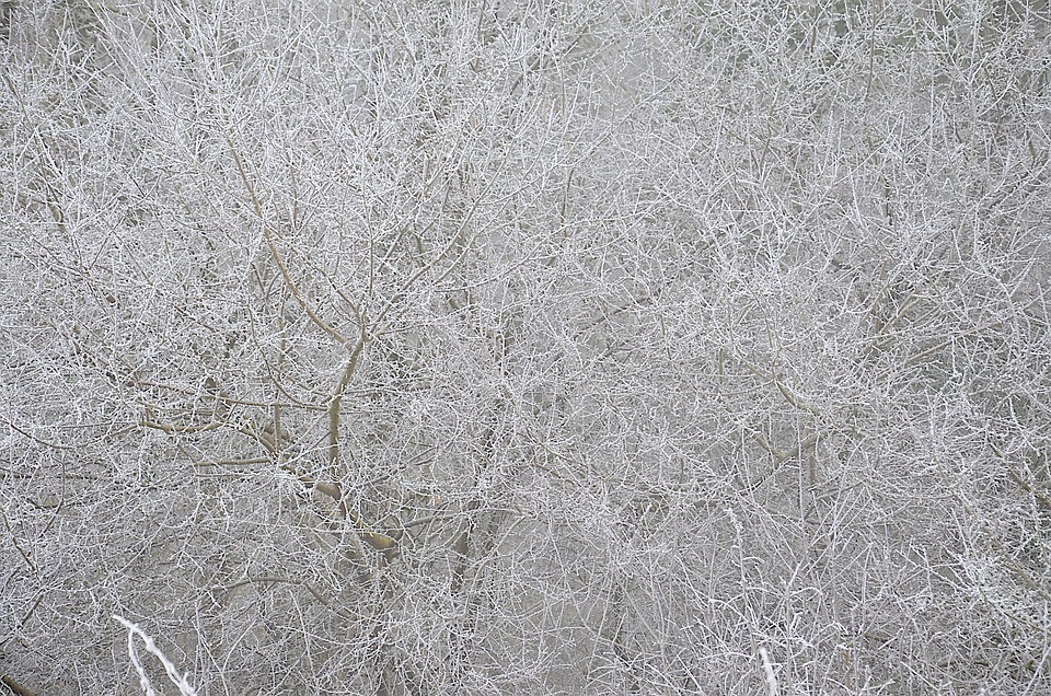 Gel Winter Frost - Free photo on Pixabay - Pixabay