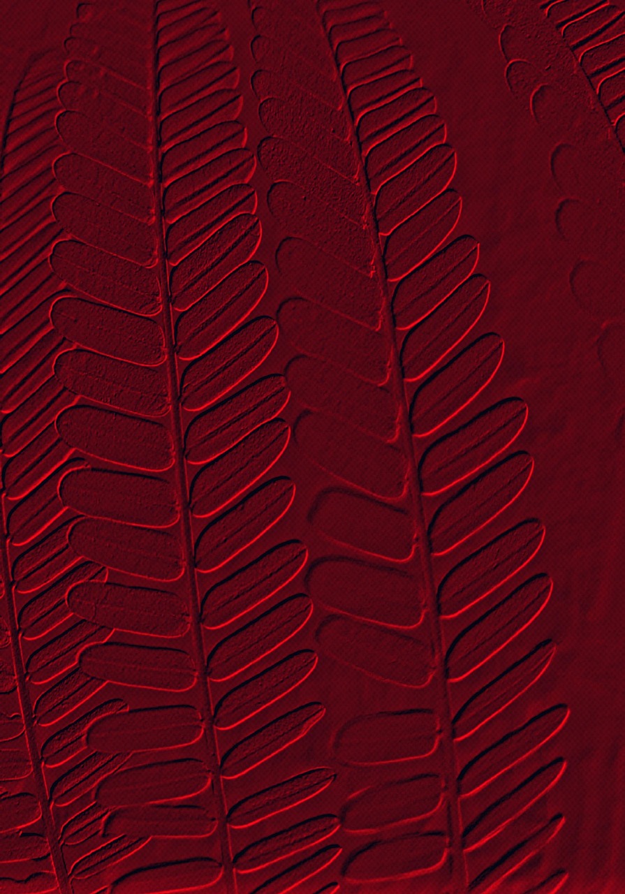 Pola Desain Merah Daun - Foto gratis di Pixabay - Pixabay