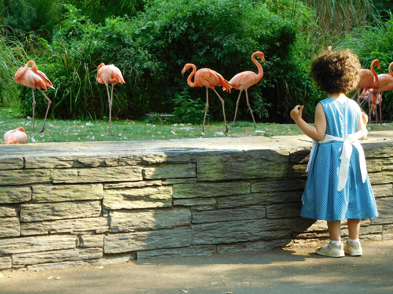 Enfant Petite Fille Fascination - Photo gratuite sur Pixabay - Pixabay