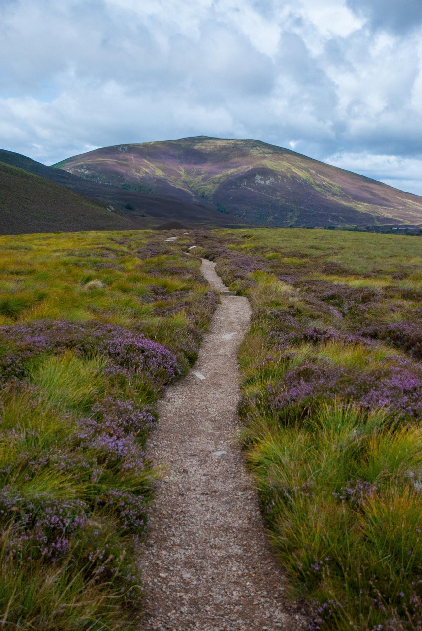 Bynack More Cairngorms Trail - Free photo on Pixabay - Pixabay