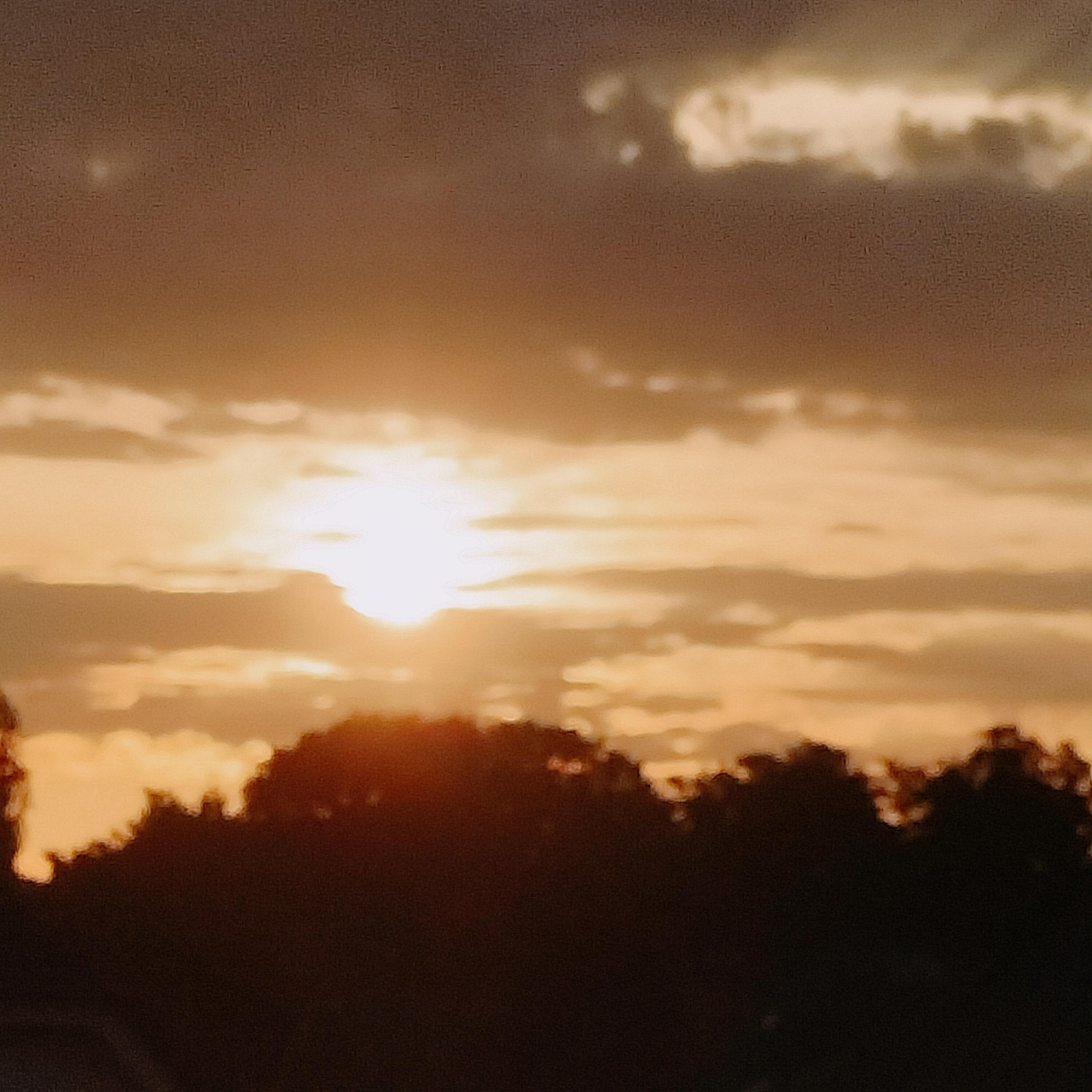 Nature Morning Sun - Free photo on Pixabay - Pixabay