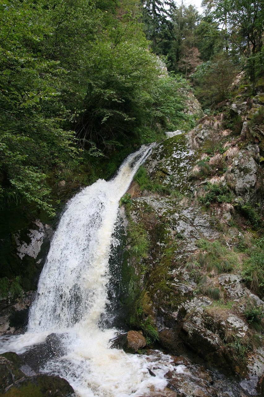Cascade L'Eau La Nature - Photo gratuite sur Pixabay - Pixabay