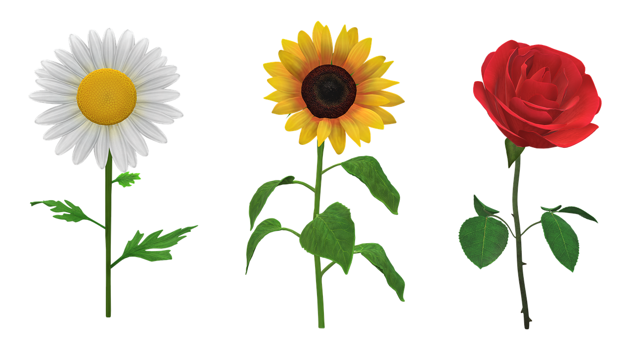 Download Flowers, Daisy, Sunflower. Royalty-Free Stock Illustration ...