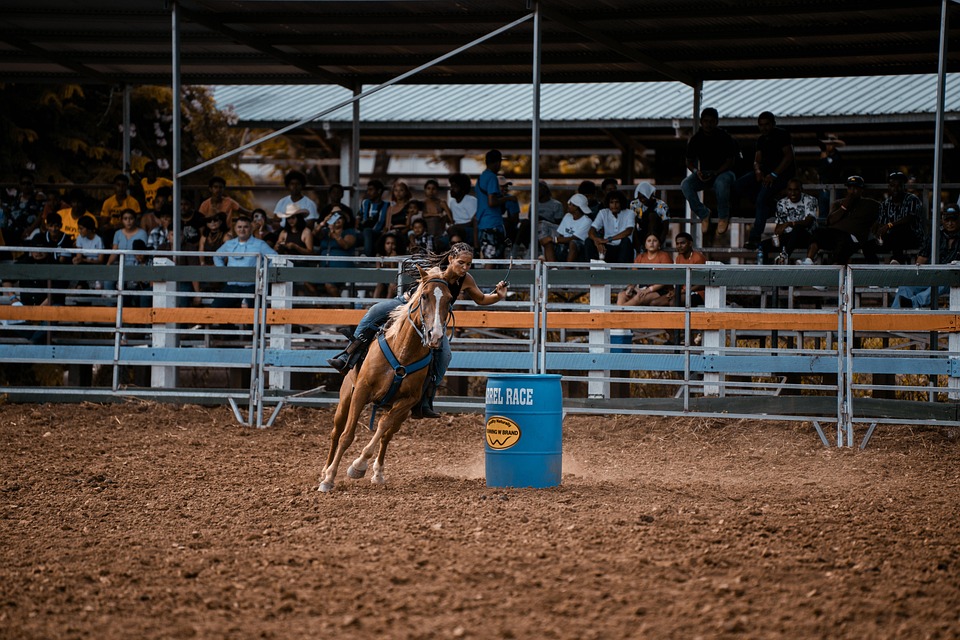 Cowgirl Woman Rodeo - Free photo on Pixabay